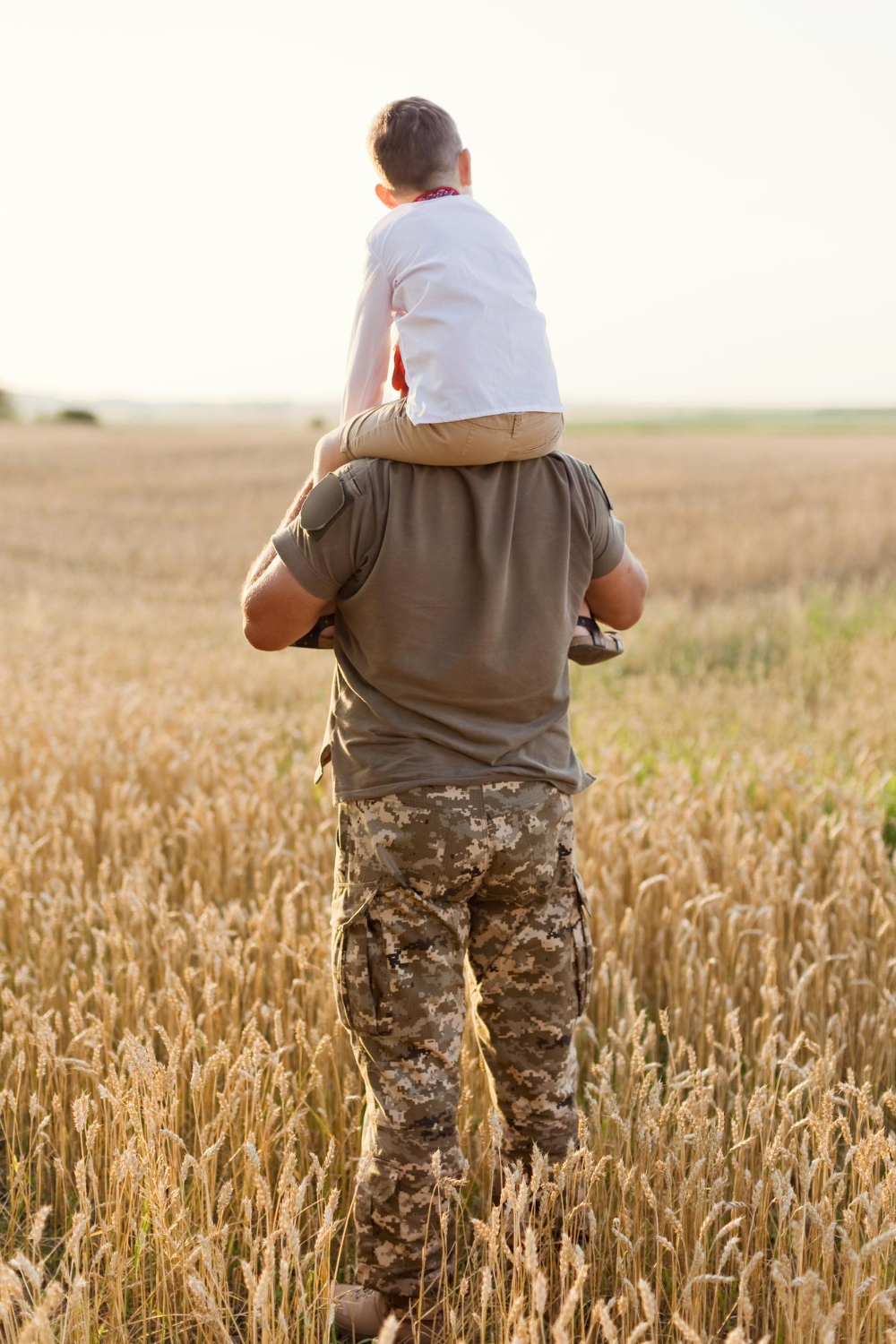 Veteran Transition - Mount Indie